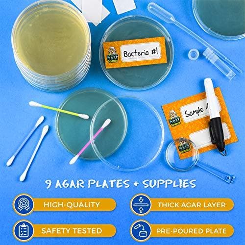 KEFF Creations Bacteria Science Kit