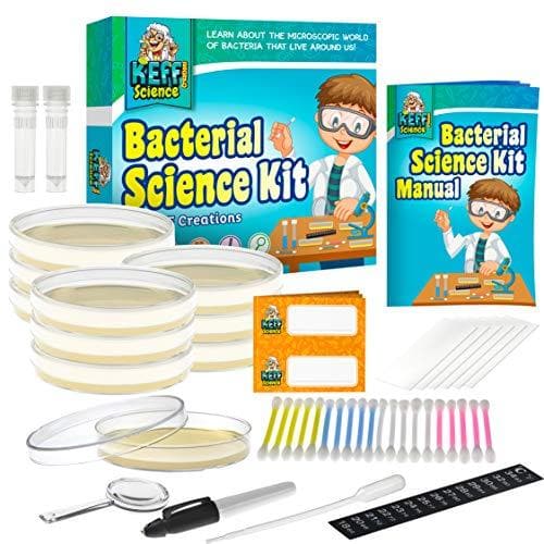 KEFF Creations Bacteria Science Kit